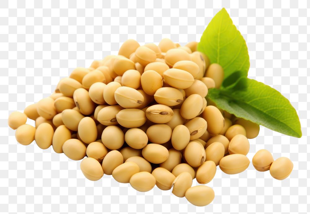 PNG Soybeans vegetable plant food. | Premium PNG - rawpixel