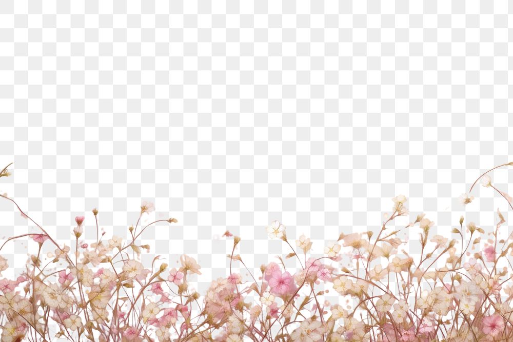 PNG Flower backgrounds outdoors blossom. | Free PNG - rawpixel