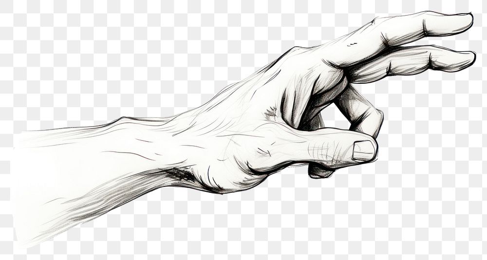 PNG Hand drawing hand sketch. | Premium PNG - rawpixel