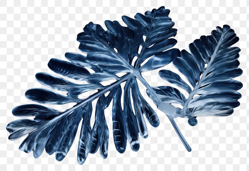 PNG Palm leaves ice frozen | Premium PNG - rawpixel