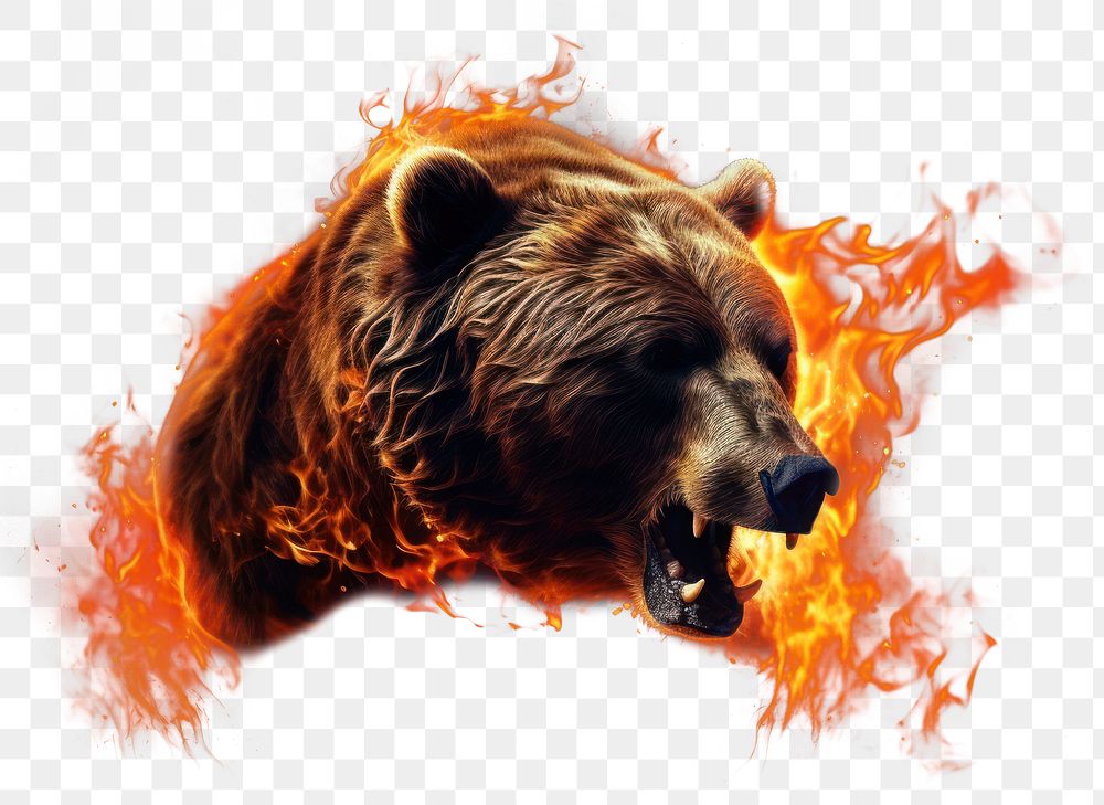 PNG Bear fire bear burning | Premium PNG - rawpixel