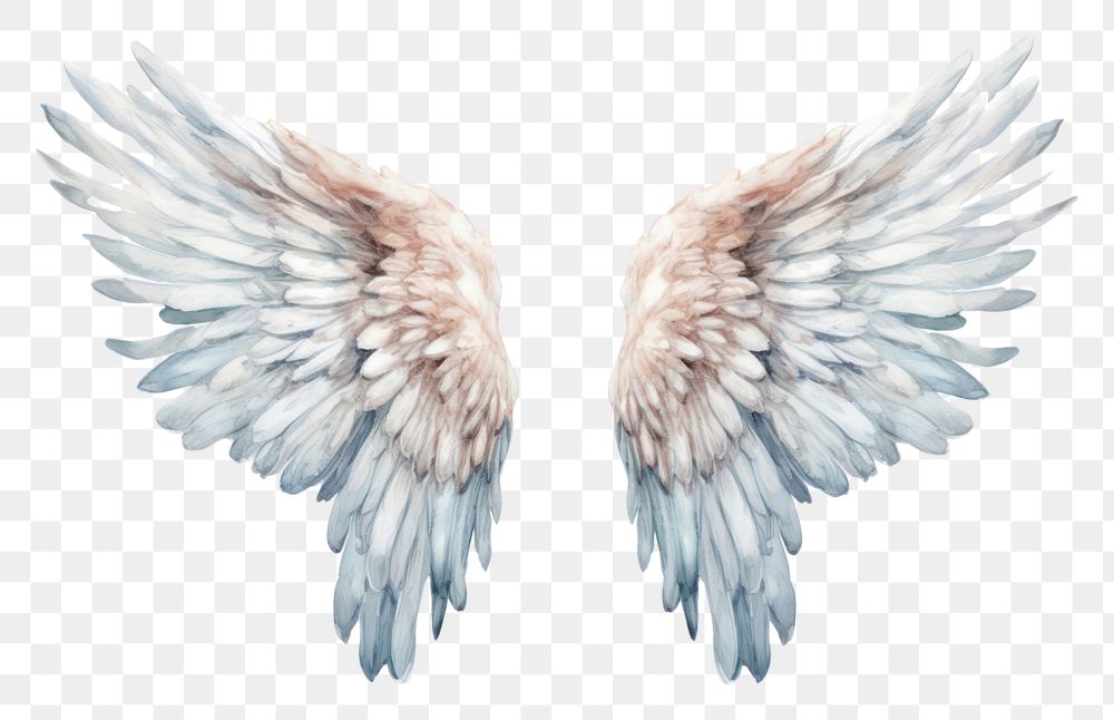 PNG Wings flying angel white | Free PNG - rawpixel