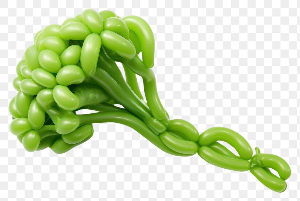 PNG balloon twisting shape broccoli | Premium PNG - rawpixel
