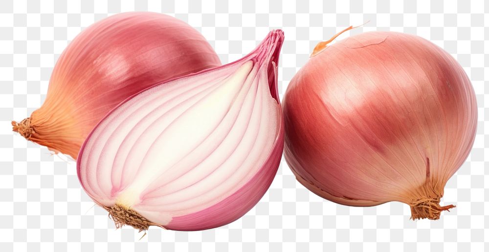 PNG Two fresh shallots whole | Free PNG - rawpixel
