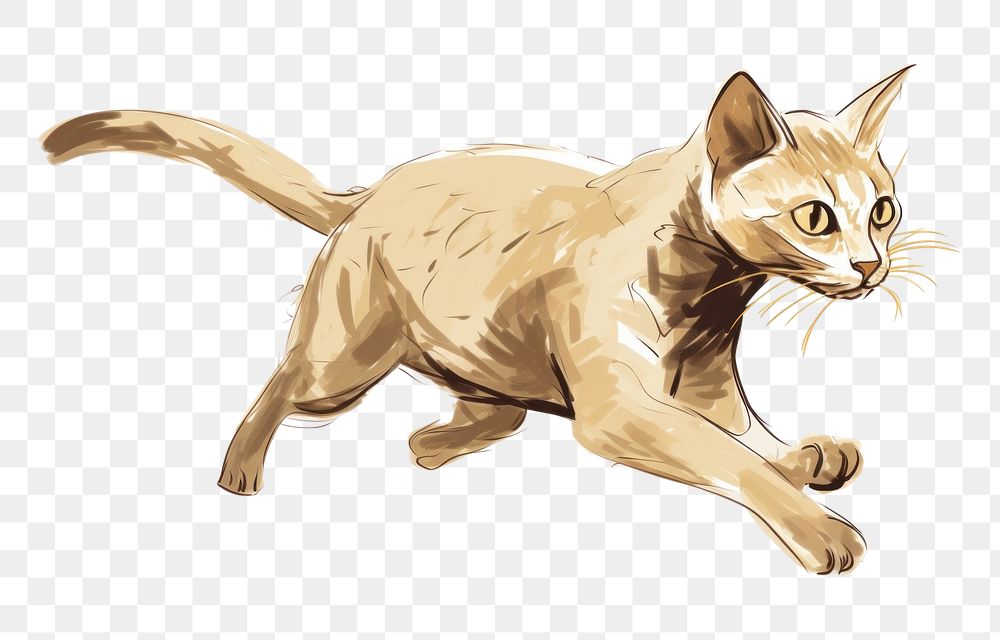 PNG Running cat drawing sketch | Free PNG - rawpixel