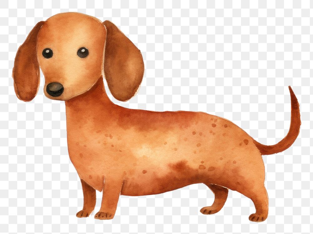 PNG Minimal dog animal mammal | Free PNG - rawpixel