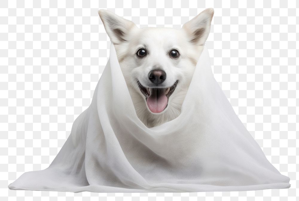 PNG cute Dog wearing ghost | Free PNG - rawpixel