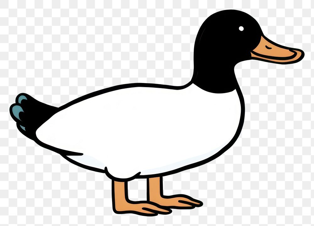 PNG Duck cartoon animal bird. | Premium PNG - rawpixel