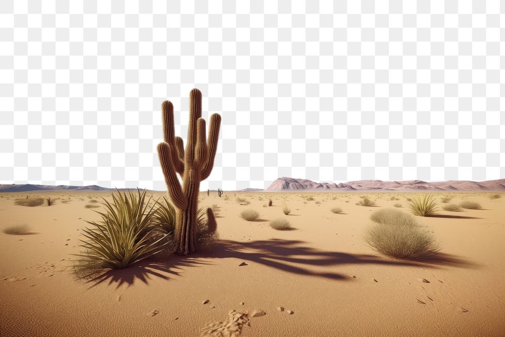 PNG Cactus desert landscape outdoors | Premium PNG - rawpixel