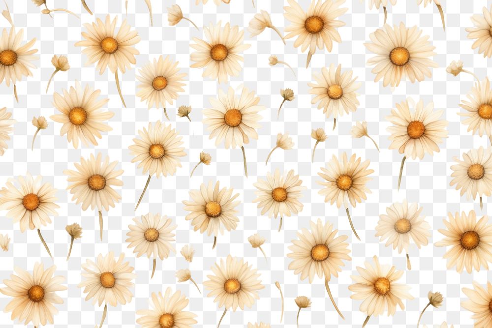 PNG Daisy pattern flower plant | Free PNG - rawpixel