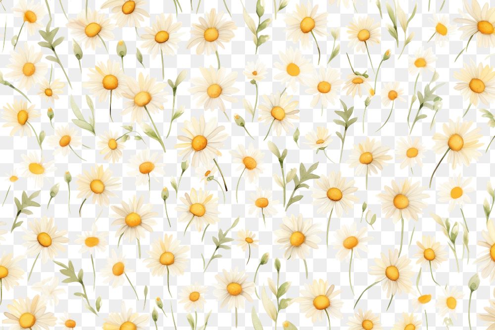 PNG Daisy pattern flower plant. | Premium PNG - rawpixel