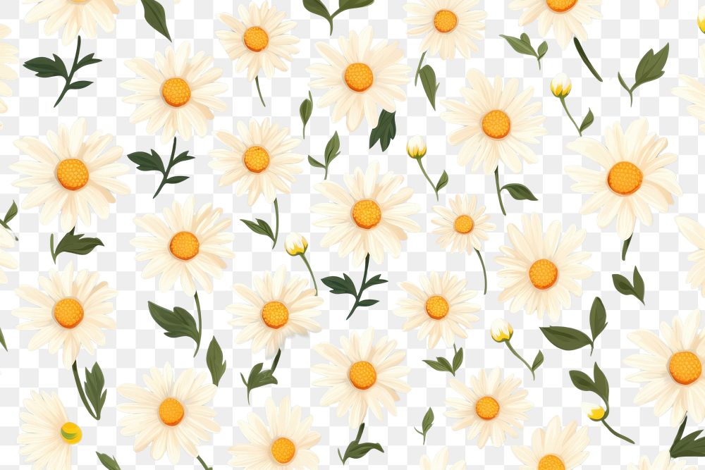 PNG Daisy pattern flower plant. | Premium PNG - rawpixel