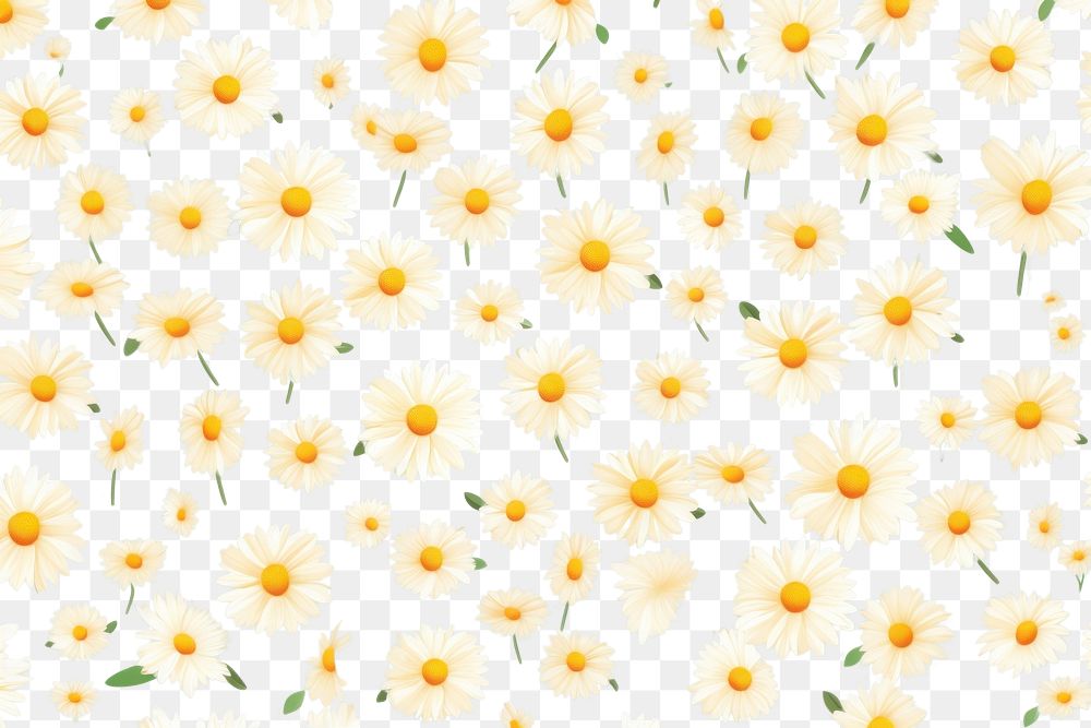 PNG Daisy pattern flower plant. | Premium PNG - rawpixel