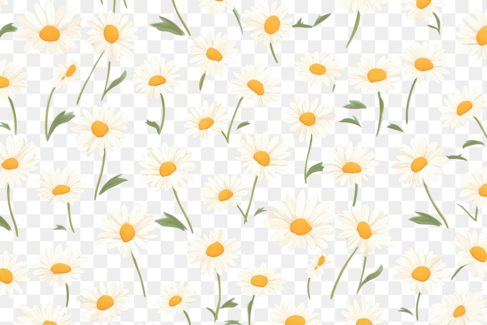 PNG Daisy pattern flower plant. | Free PNG - rawpixel