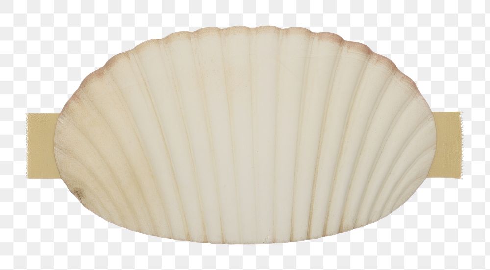 PNG Shell tape clam white | Free PNG - rawpixel