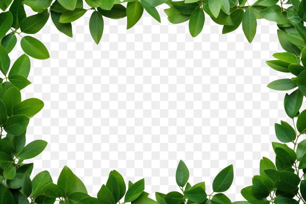 PNG Frame green leaves backgrounds | Premium PNG - rawpixel