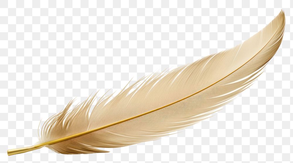 PNG Quill white background lightweight | Premium PNG - rawpixel