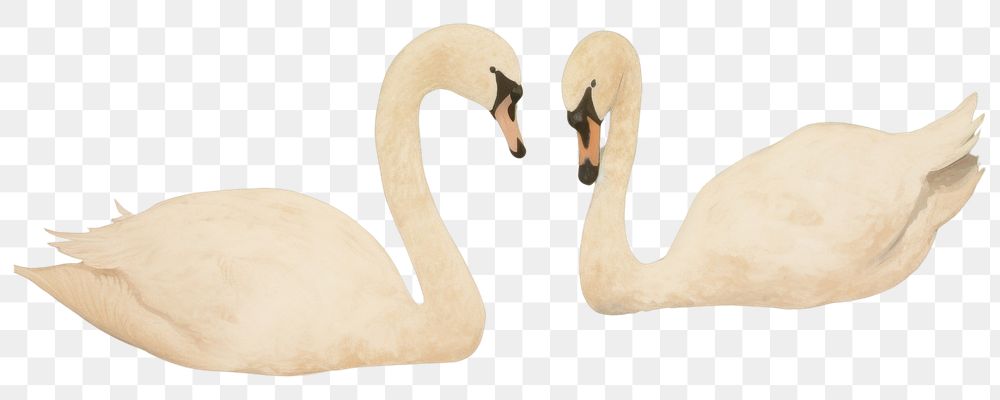 PNG 2 swans lake painting | Free PNG - rawpixel
