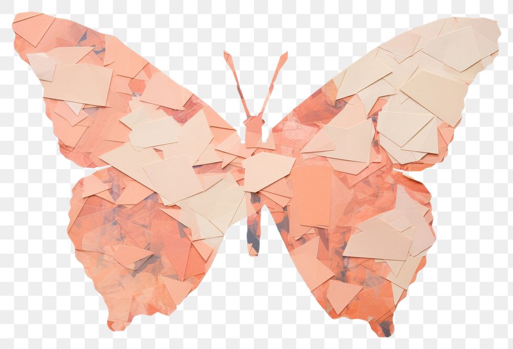 PNG Butterfly insect animal paper. | Free PNG - rawpixel