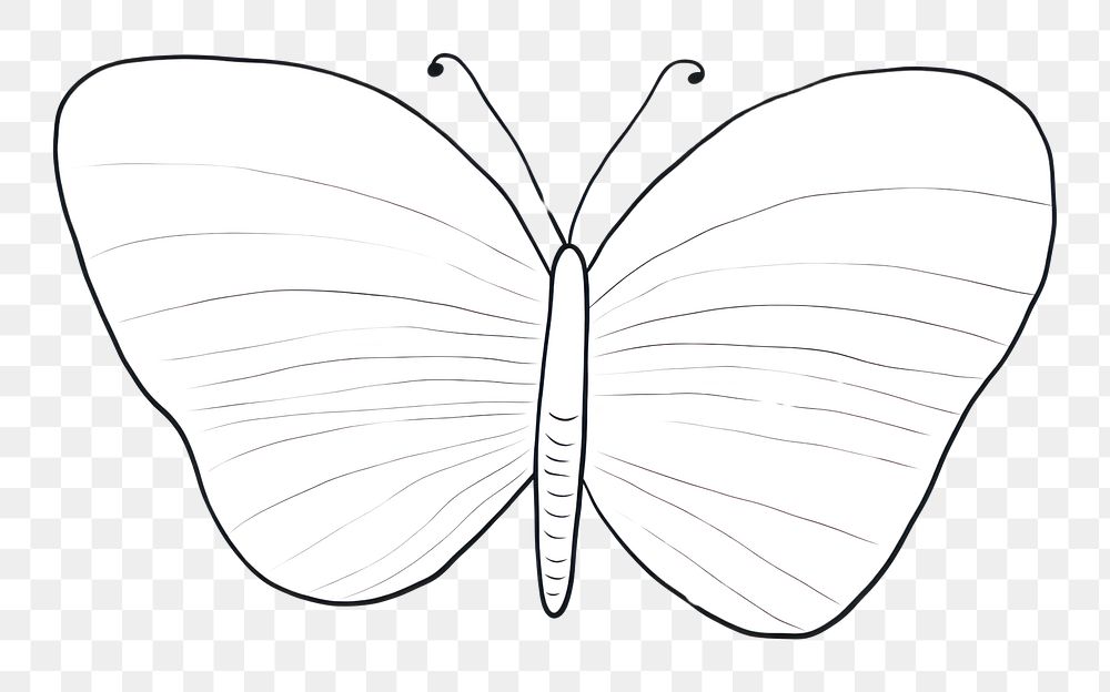 Minimal illustration butterfly drawing sketch | Free PNG - rawpixel