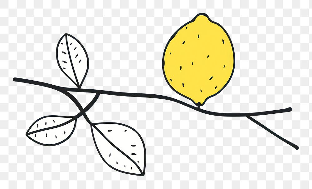 Minimal illustration lemon branch drawing | Premium PNG - rawpixel