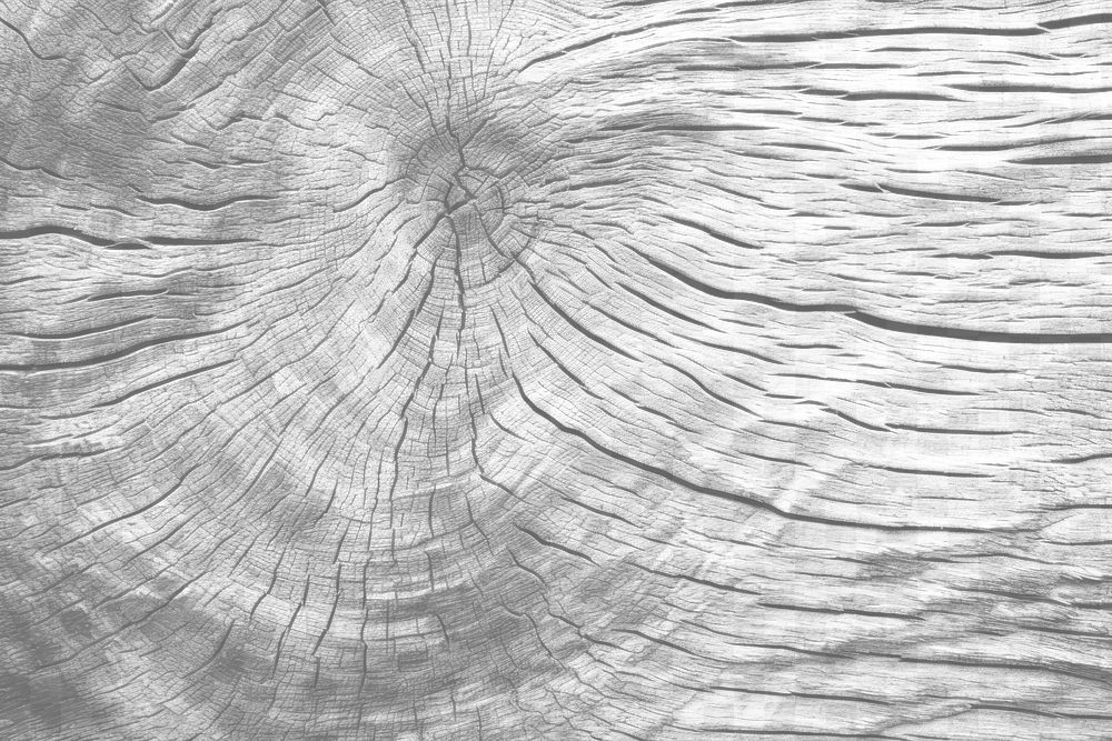 PNG Wood texture tree backgrounds | Free PNG - rawpixel