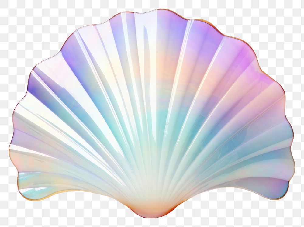 PNG Shell seashell clam | Premium PNG - rawpixel