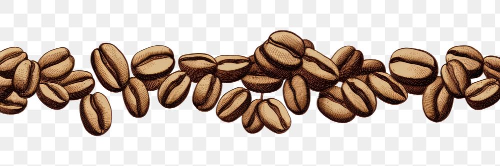 Coffee Bean Divider PNG Images | Free Photos, PNG Stickers, Wallpapers ...