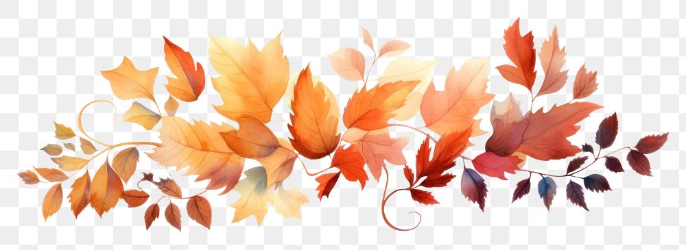 Autumn leaves graphics pattern plant. | Premium PNG - rawpixel