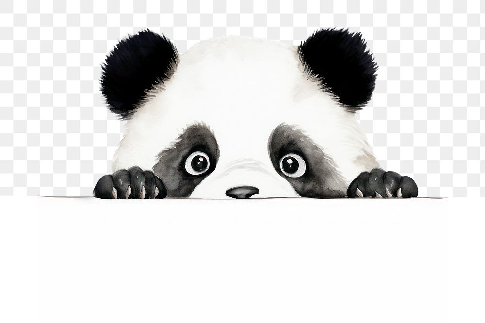PNG Peeking Panda showing emotion | Premium PNG - rawpixel