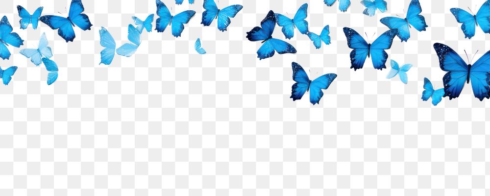 PNG Blue butterfly border backgrounds | Free PNG Illustration - rawpixel