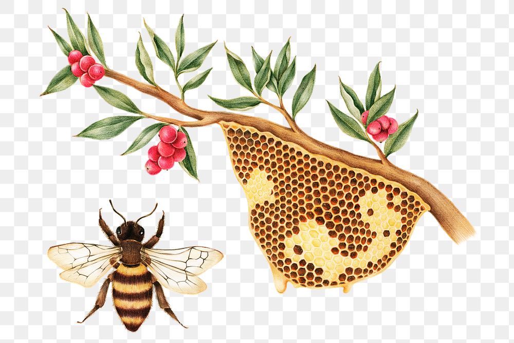 Hand drawn honeycomb sticker design | Premium PNG Sticker - rawpixel