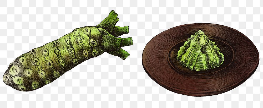 Colorful Japanese wasabi transparent png | Premium PNG Sticker - rawpixel