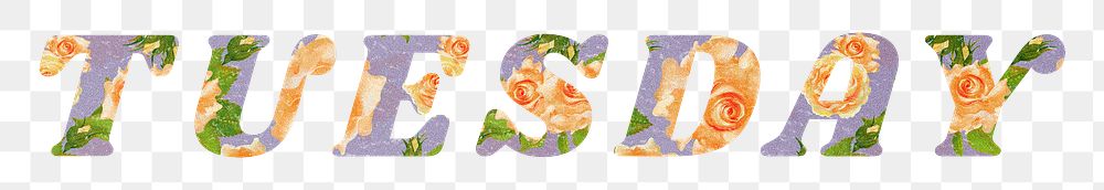 Tuesday text png retro floral | Free PNG Sticker - rawpixel