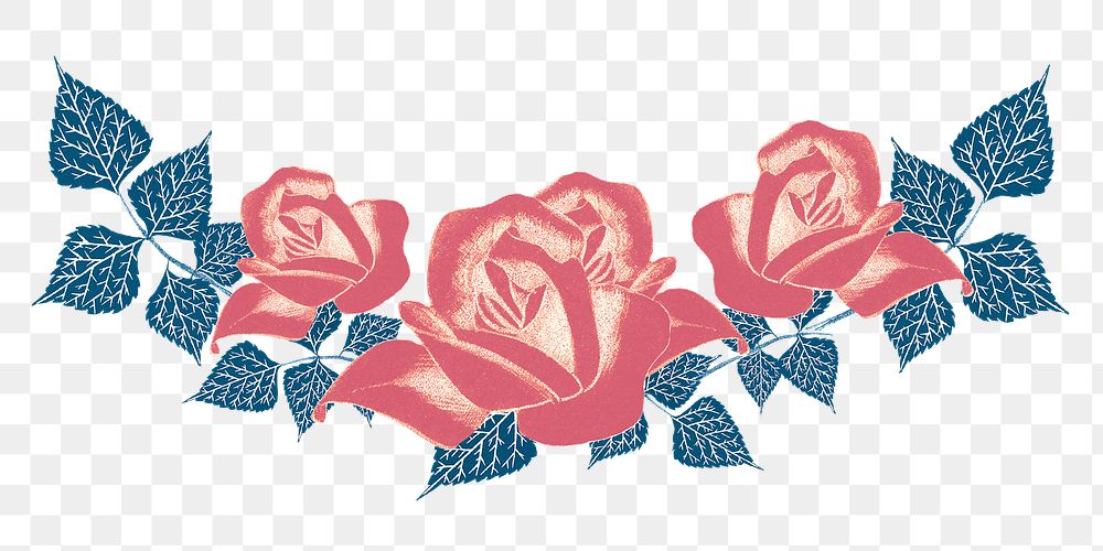 Vintage pink roses divider png | Premium PNG Sticker - rawpixel