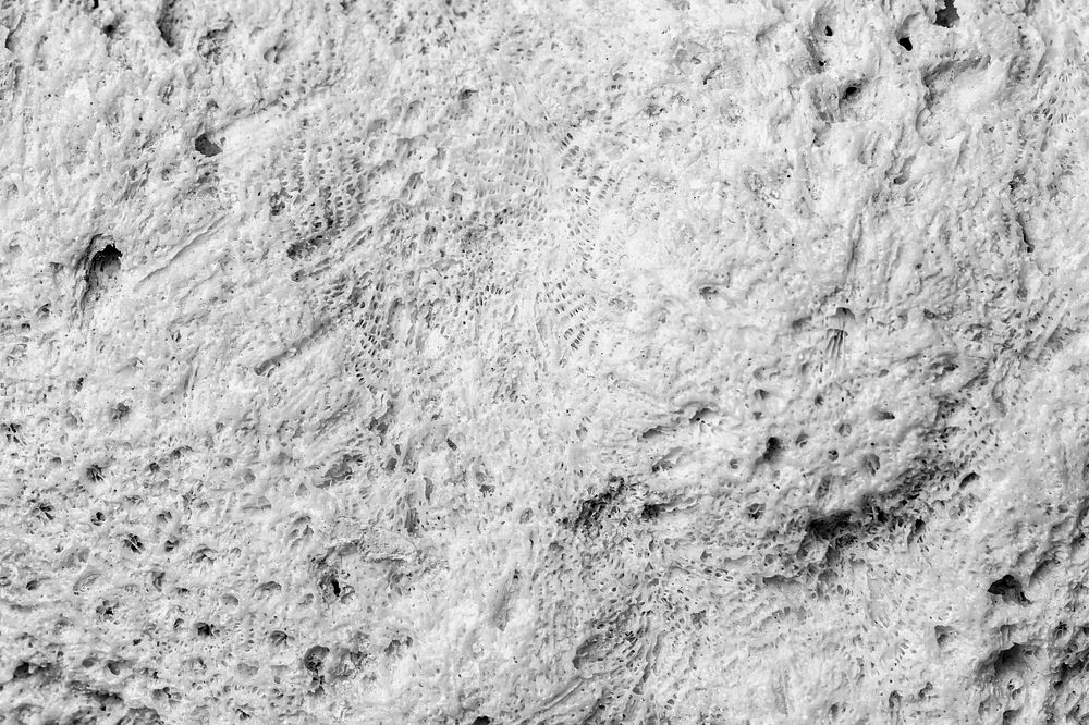 Stone texture png, transparent rough | Premium PNG - rawpixel