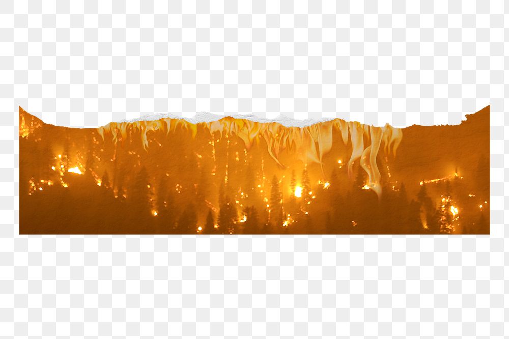 Bush fire png ripped paper | Premium PNG - rawpixel