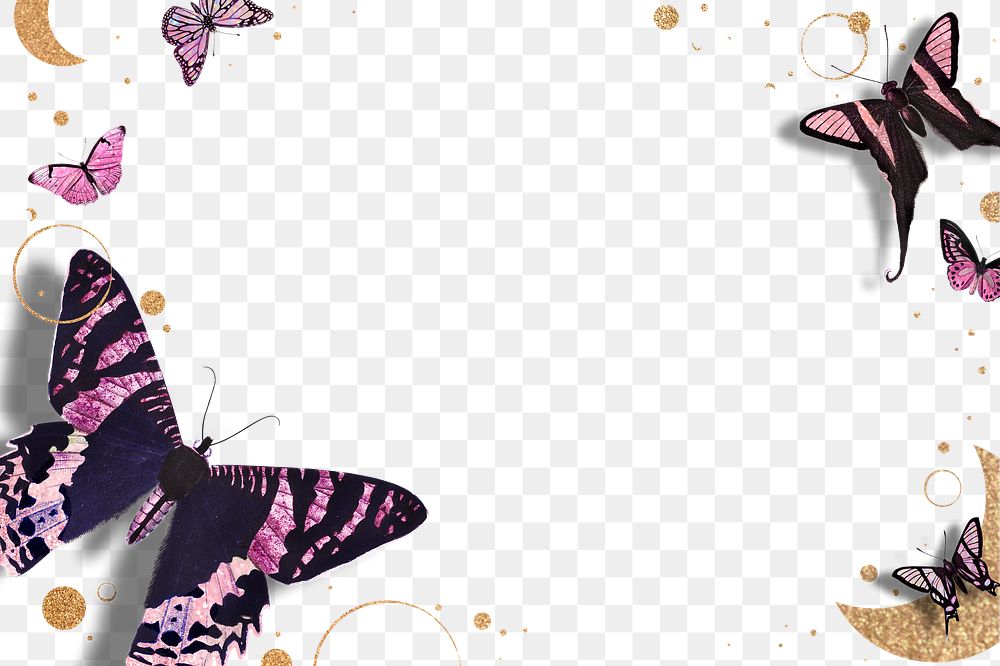 Rectangle pink butterfly frame design | Premium PNG - rawpixel