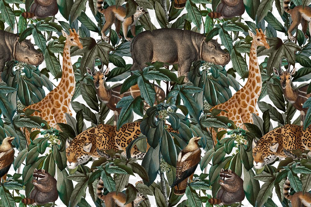 Jungle png animal pattern transparent | Premium PNG - rawpixel
