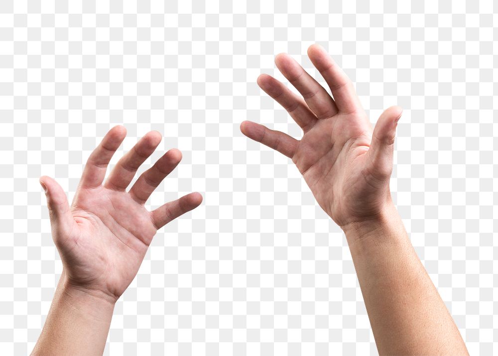 Hands grasping something png transparent | Premium PNG Sticker - rawpixel