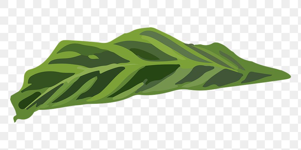 Leaf PNG clipart, tropical Chinese | Premium PNG Sticker - rawpixel