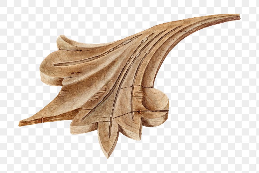 Vintage wood carving png illustration, | Premium PNG Sticker - rawpixel
