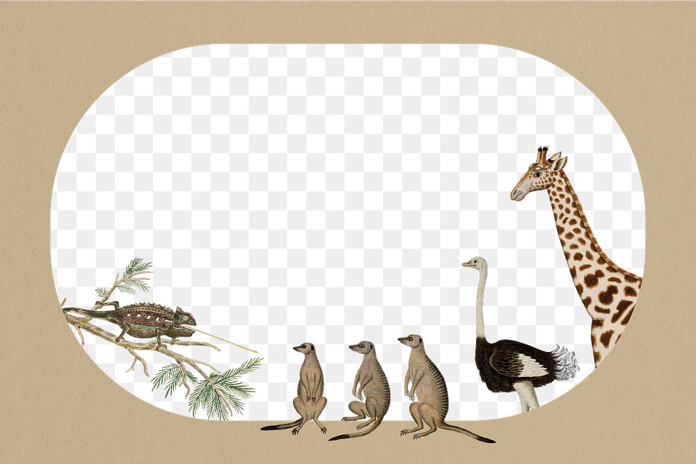 Animal frame png wildlife colored | Free PNG - rawpixel