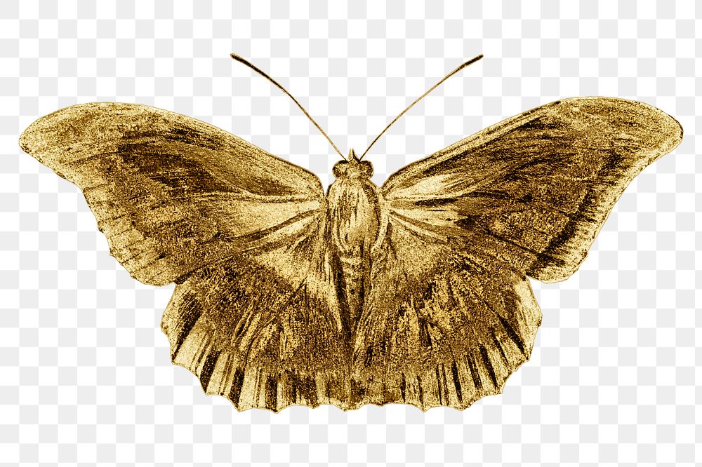 Gold butterfly design element | Premium PNG Sticker - rawpixel