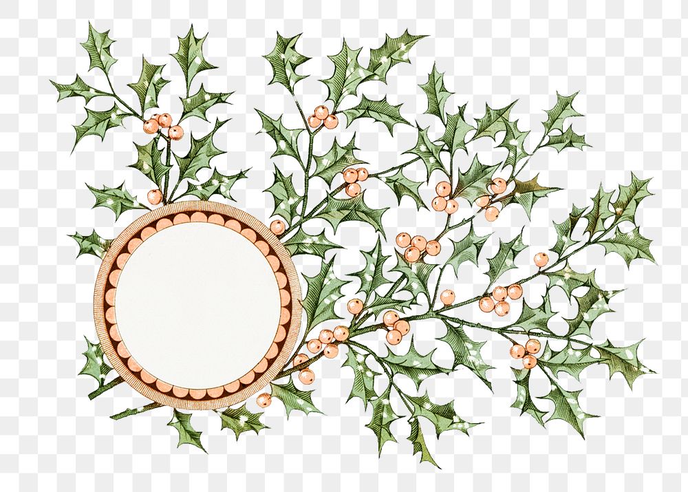 Festive holly leaves frame transparent | Premium PNG - rawpixel
