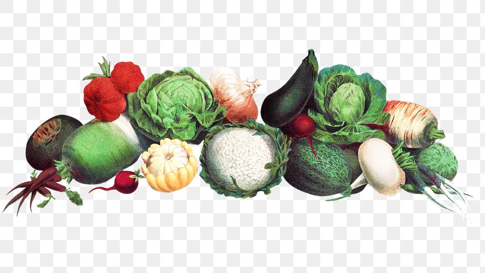 Vintage vegetables design element | Premium PNG Sticker - rawpixel