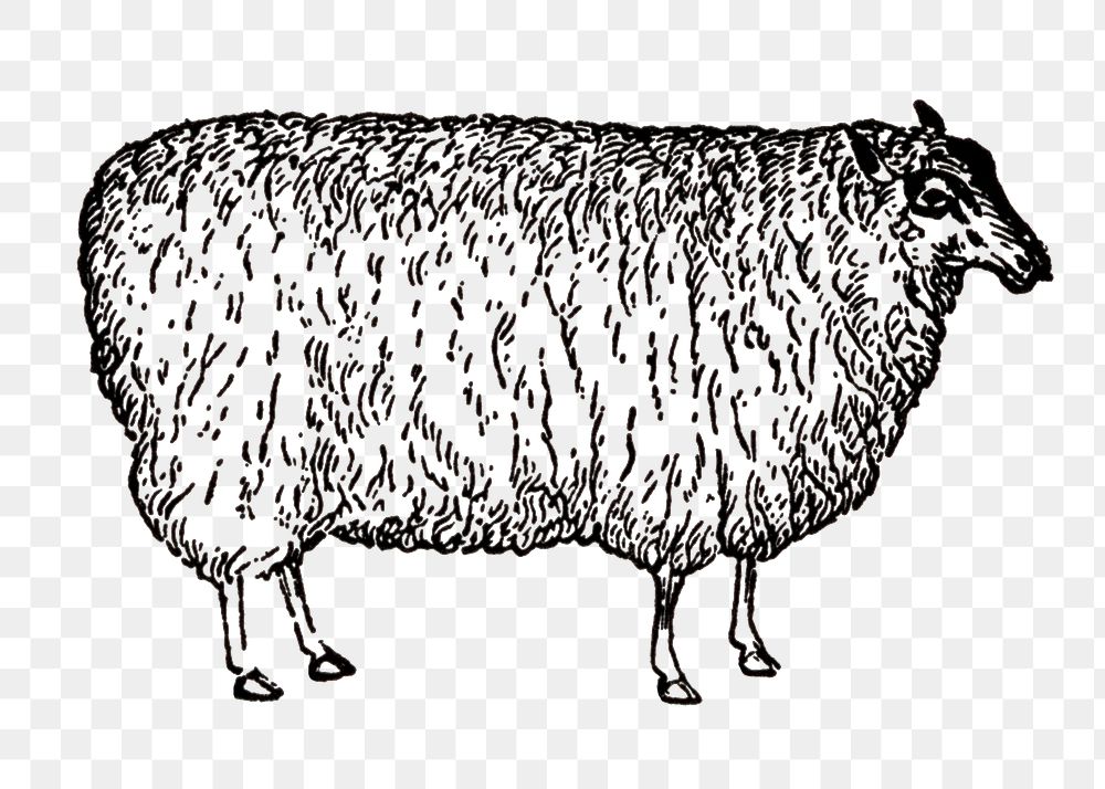 Sheep sticker png, black ink | Premium PNG - rawpixel