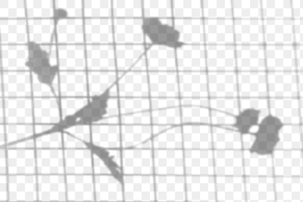 Shadow of flower design element | Premium PNG - rawpixel