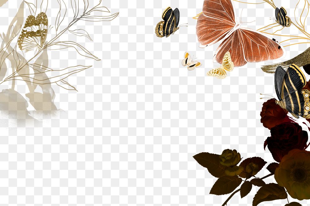 Butterfly frame png, watercolor border, | Premium PNG - rawpixel