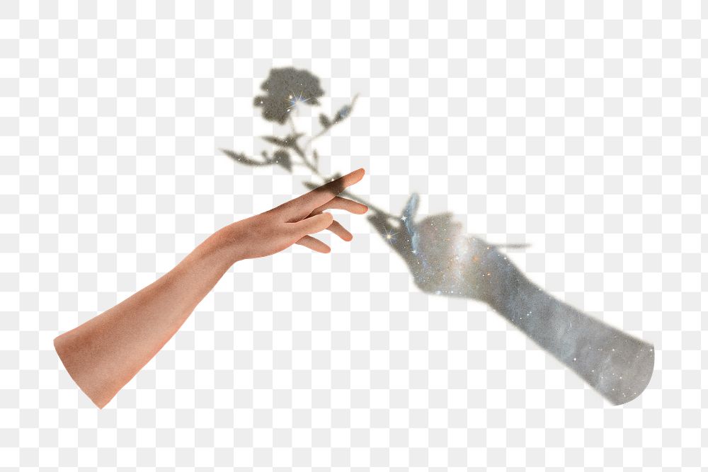 Hand shadow png, flower clipart, | Premium PNG Sticker - rawpixel